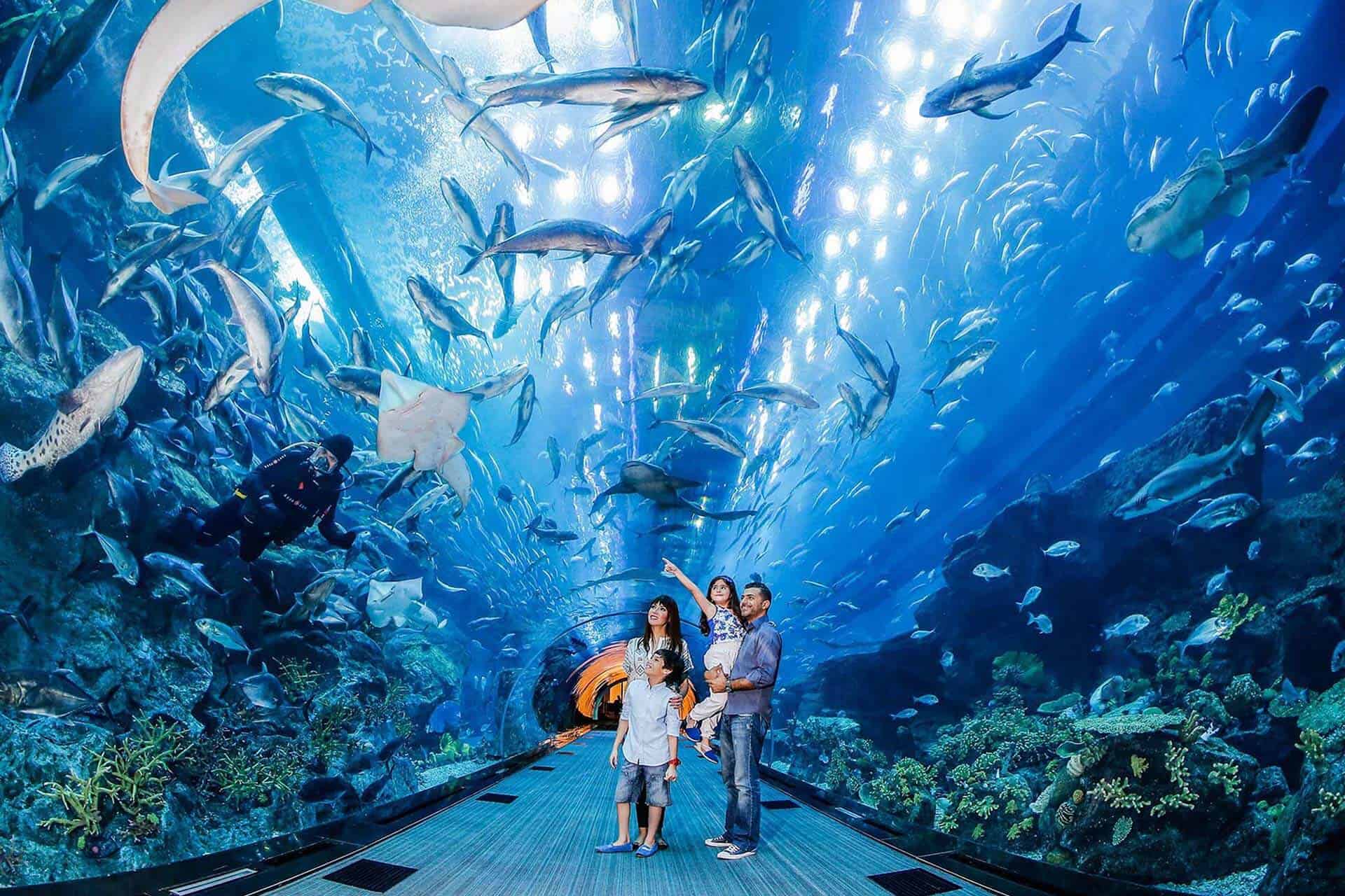 Image Gallery of Rove Downtown | Rove Hotels