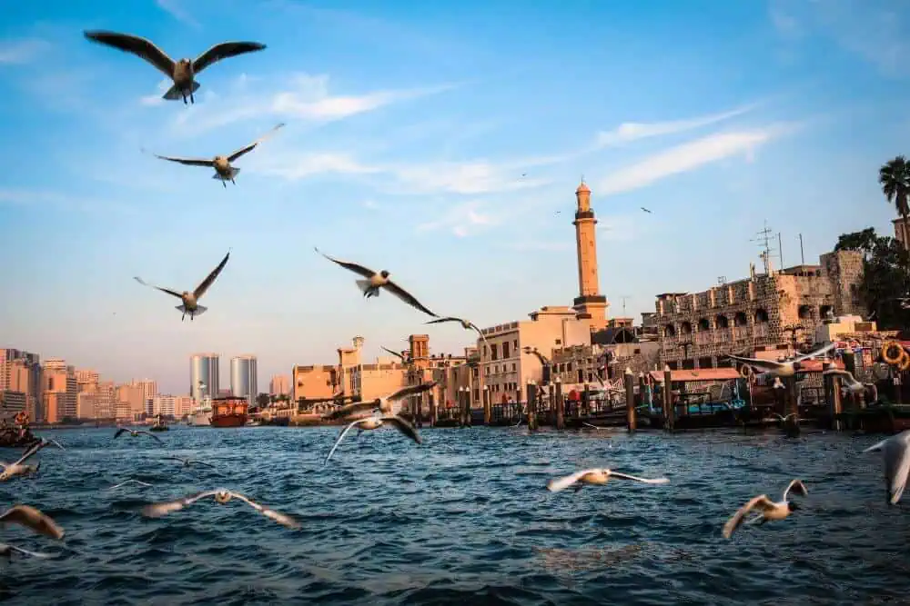 Image Gallery of Rove City Centre | Hotels in City Centre Deira